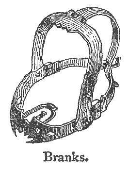 Scold's Bridle - Mask for Torture and Humiliation